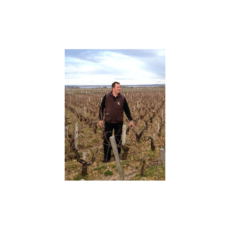 Acheter du Dompierre Pauillac millésime 2018 de chez Michel Aroldi
